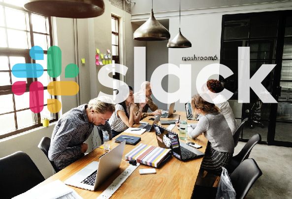 The 17 Best Slack Apps for Team Building and Office Culture in 2024